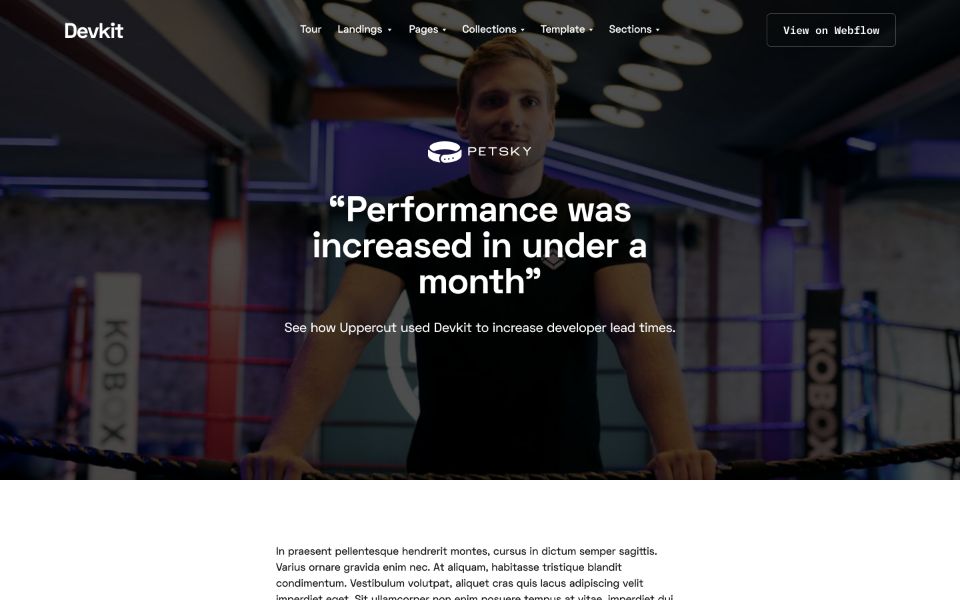 Devkit - Webflow HTML Website Template