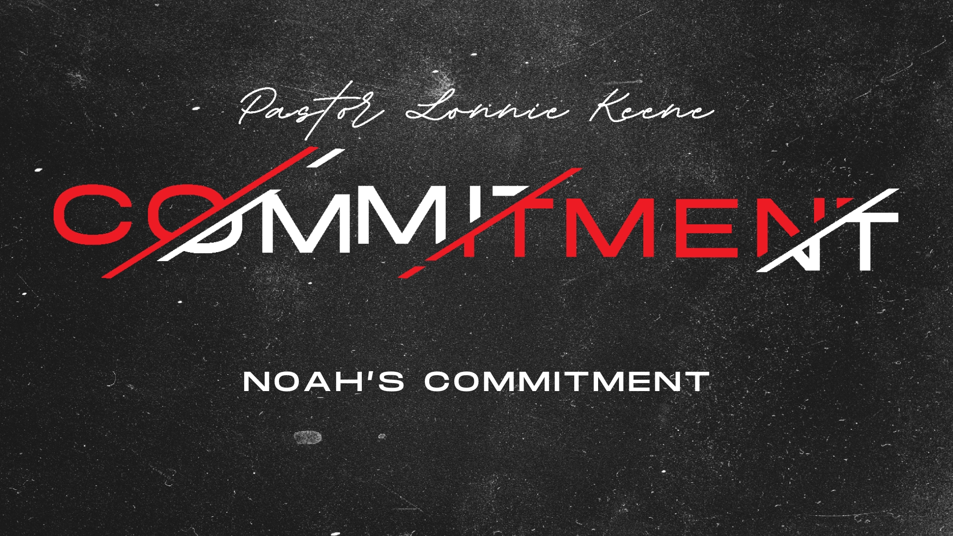 Noah’s Commitment | Exploring the Dedication Behind Building The Ark