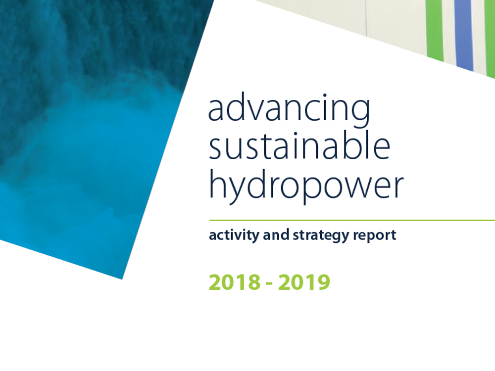 IHA publishes activity and strategy report for 2018-2019