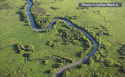 Meeting global challenges while maximising values of river and energy