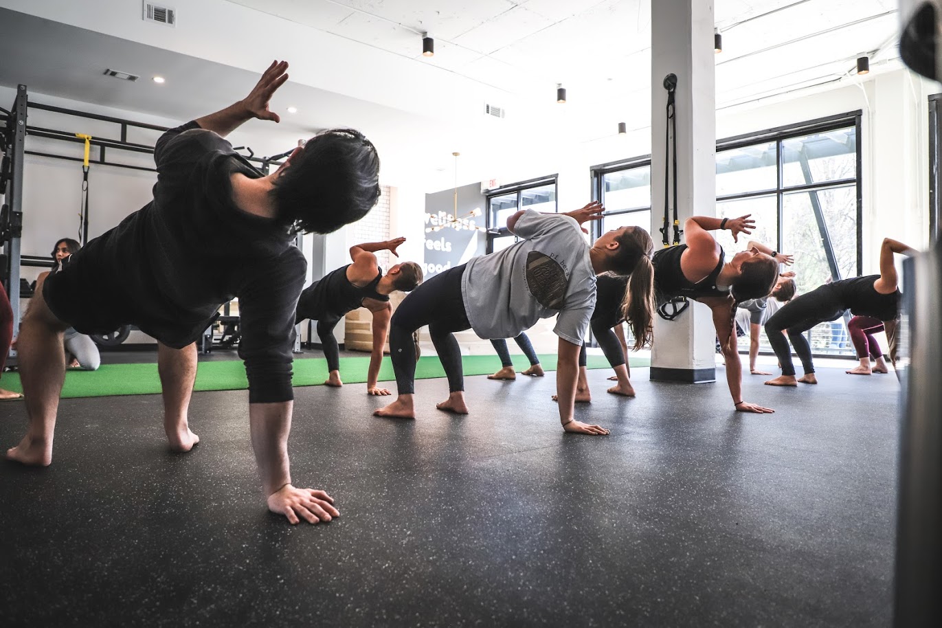 An Introduction to Animal Flow and Why One Trainer Thinks It's Important