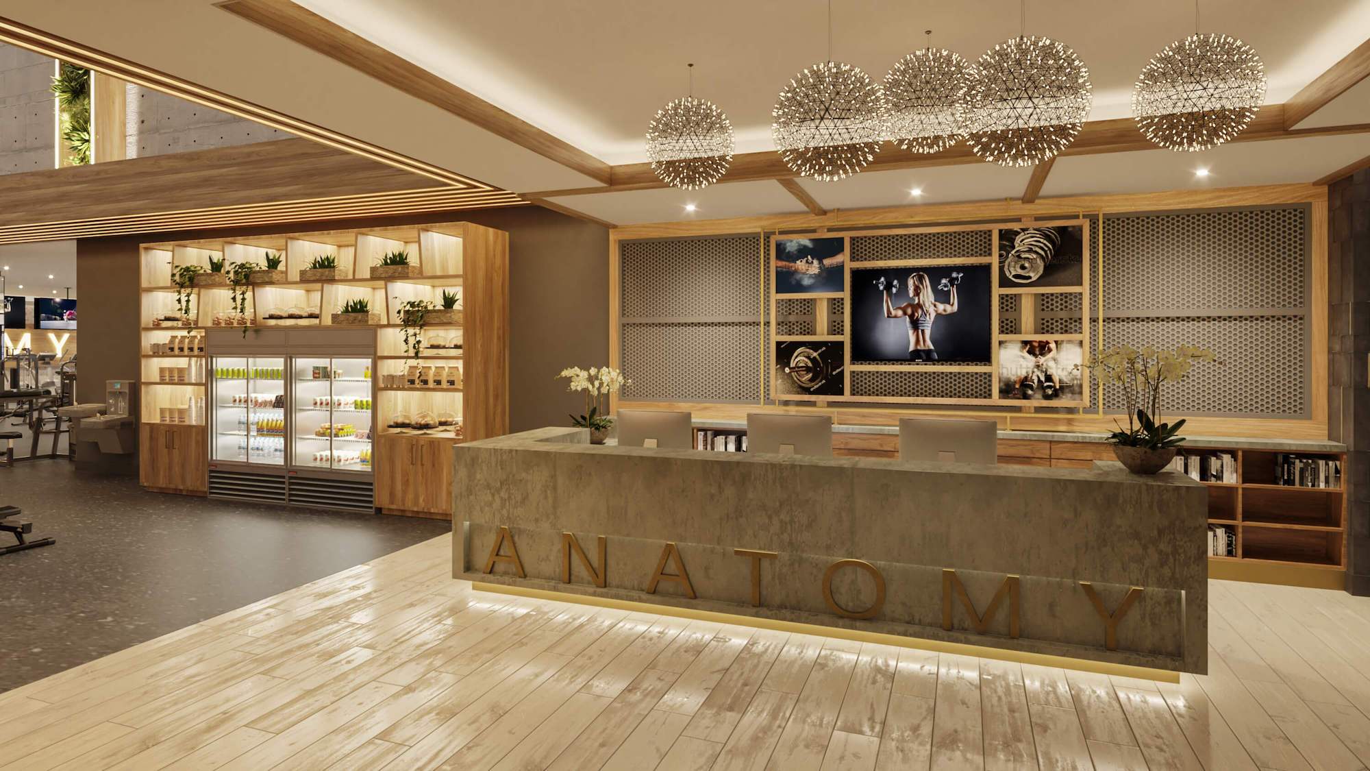 Anatomy's New Flagship Miami Beach Location Opening December 15