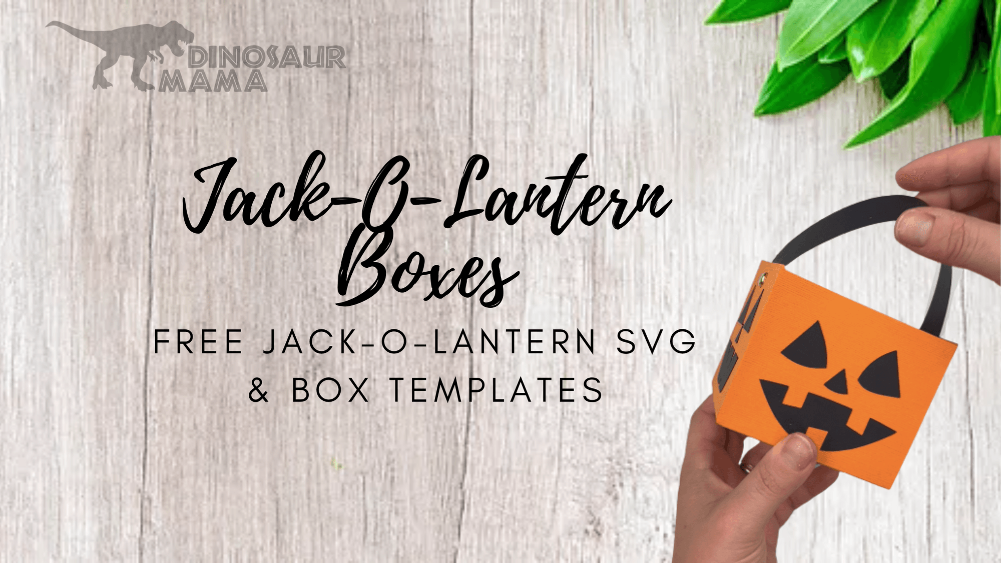 Cricut Halloween Boxes | Free Jack-O-Lantern SVG