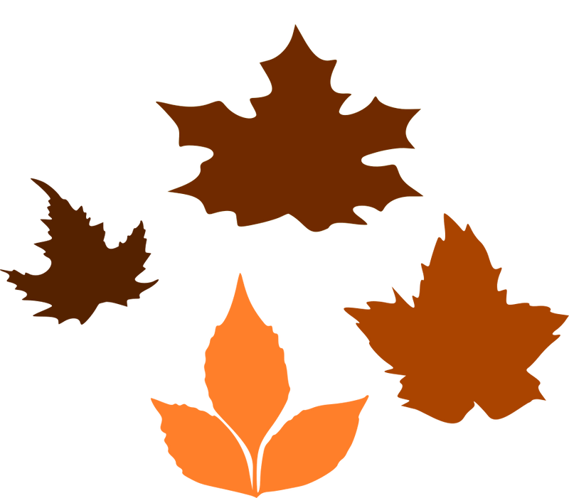 Fall Free SVG Files for Cricut & Silhouette Crafts
