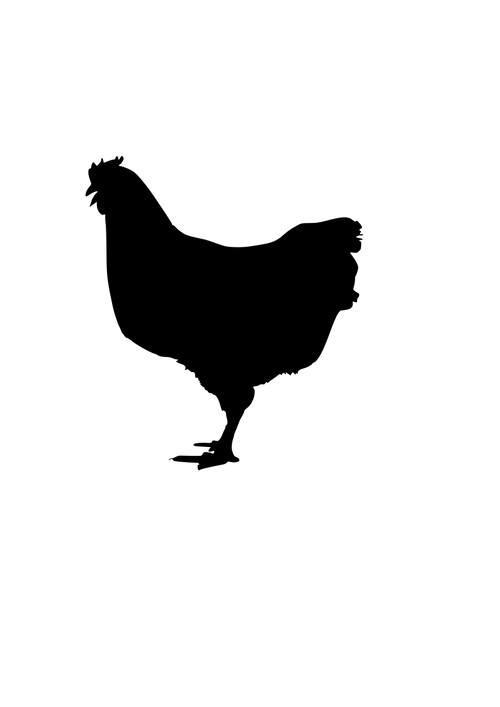 Free Kitchen SVG Files for Cricut & Silhouette Crafts