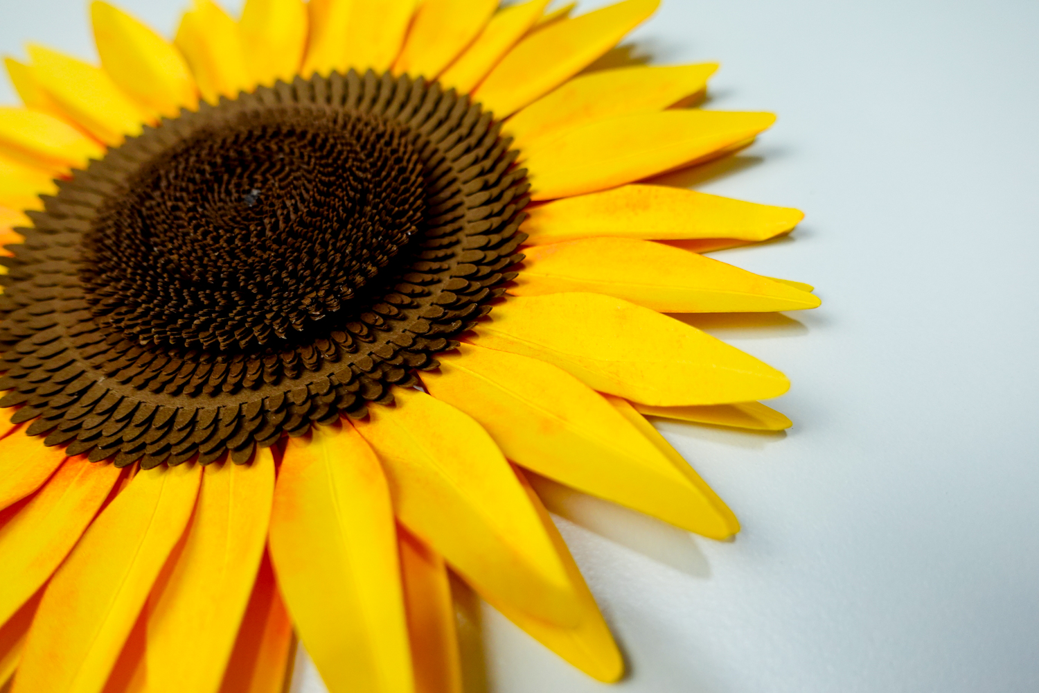 3D Paper Sunflower SVG | A Free Design for Your Fall Creations