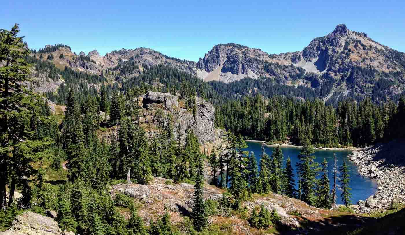 Should I Landscape with Trees Native to Washington State? | Garden Gate ...