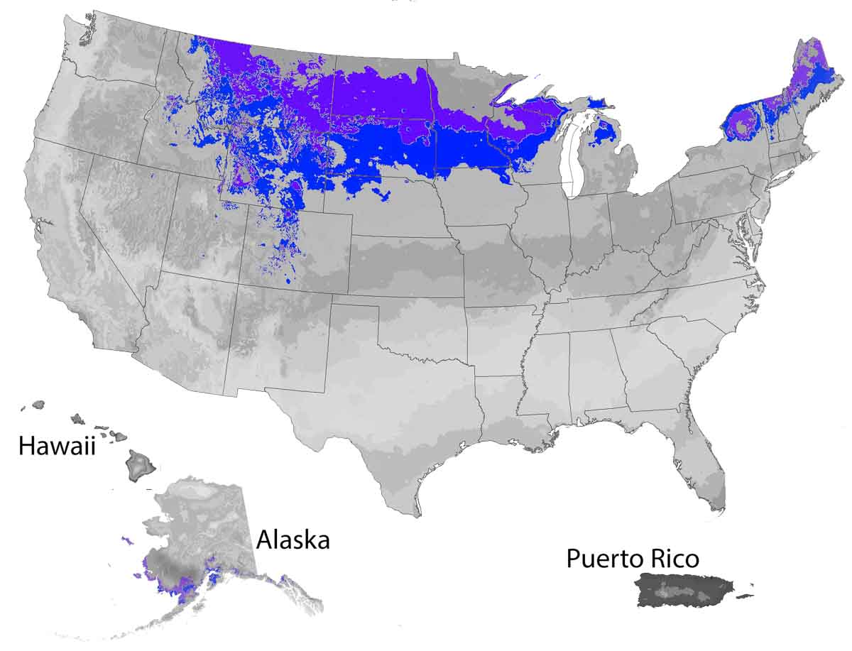 Plants in Hardiness Zones 4a and 4b | Garden Gate Nursery