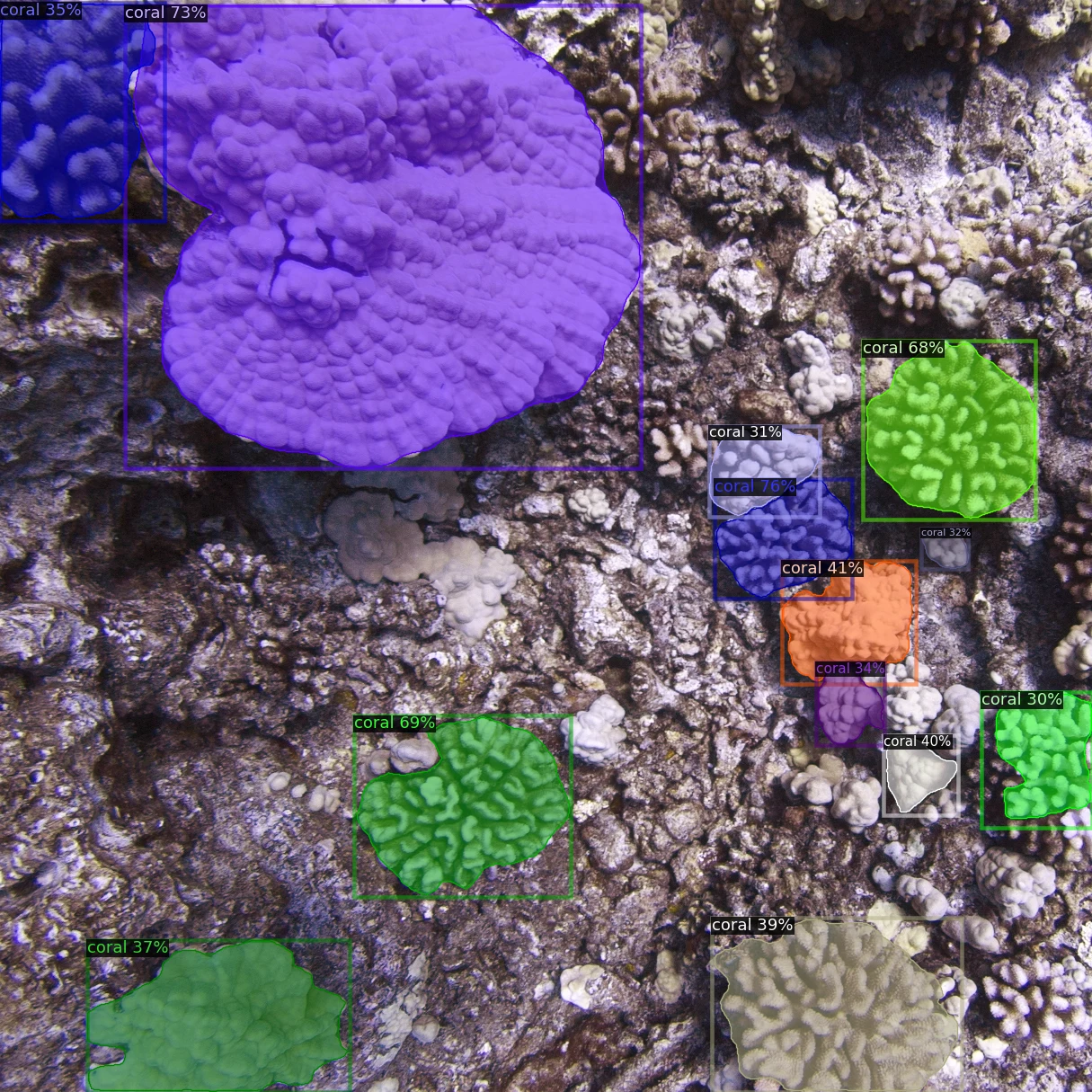 Help global marine research by collecting and labelling coral reef data ...