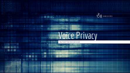 The Voice Privacy Problem