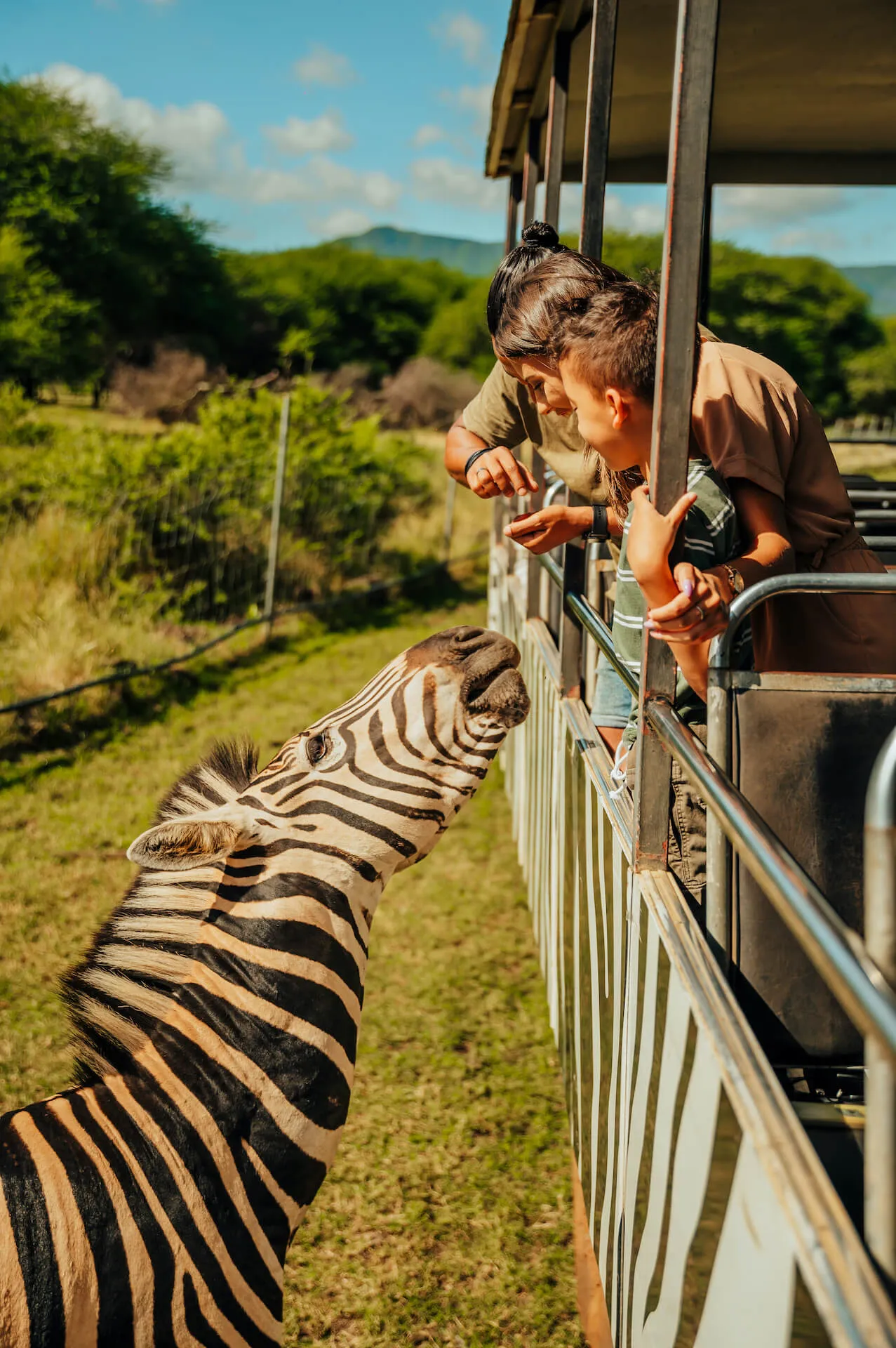 Casela Nature Parks, paradise for nature lovers and adventure enthusiasts