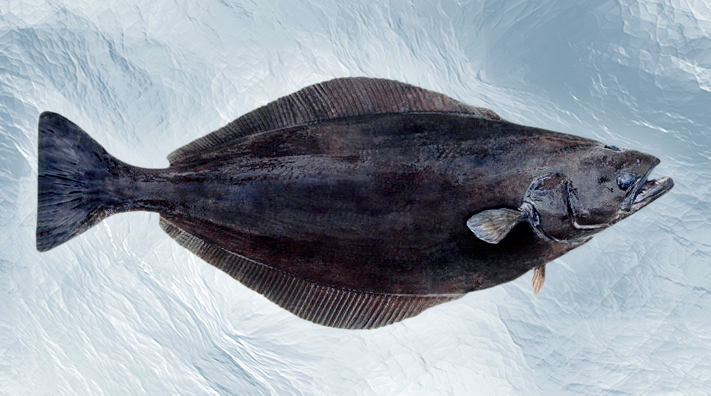 Products from Nordic Wildfish