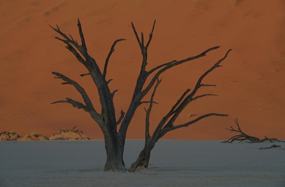 Smugmug Source Raw File Management