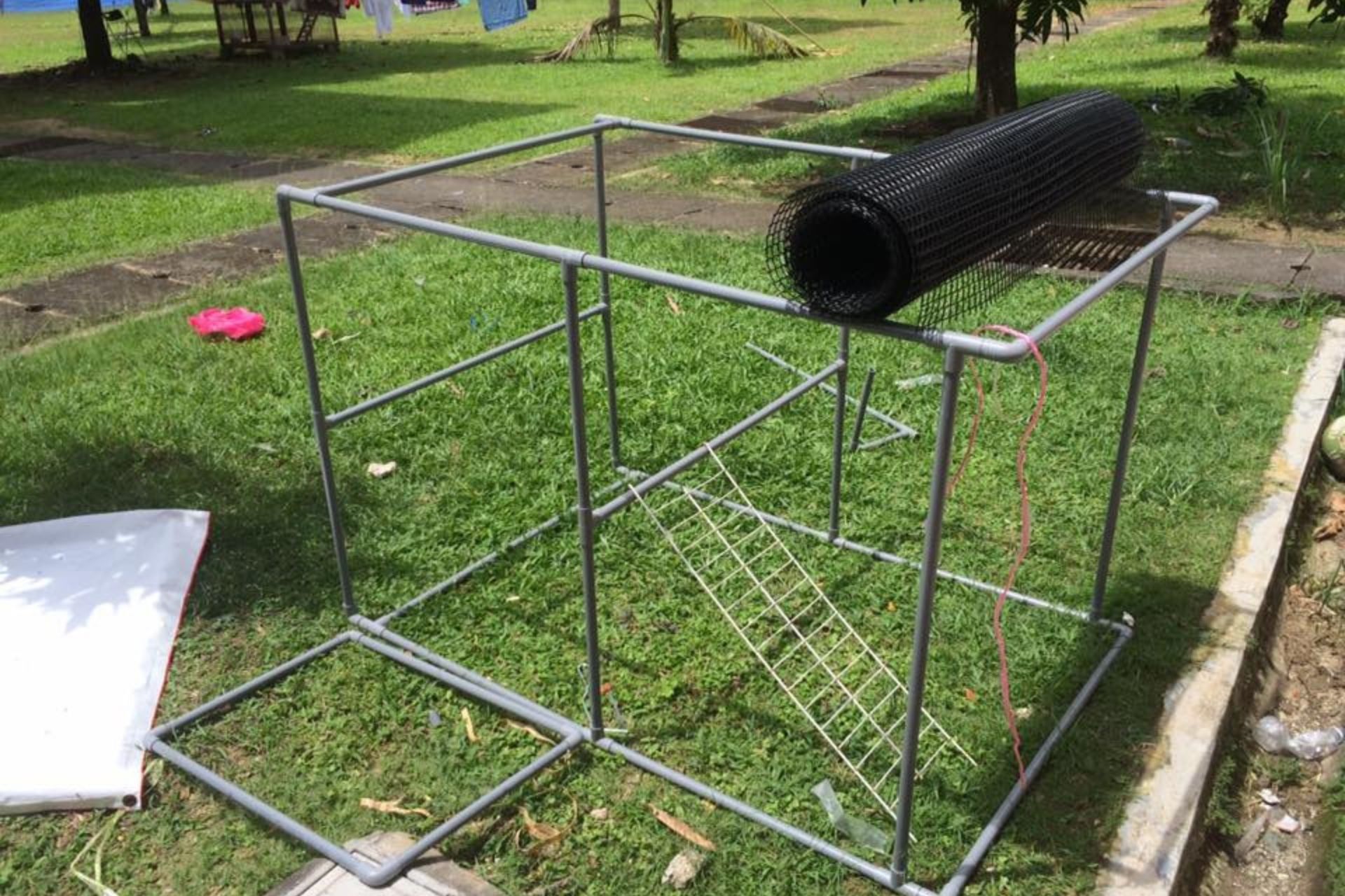 Sangkar Kucing: Keperluan, Saiz, Cara Buat Sendiri, dan Tips Pembersihan