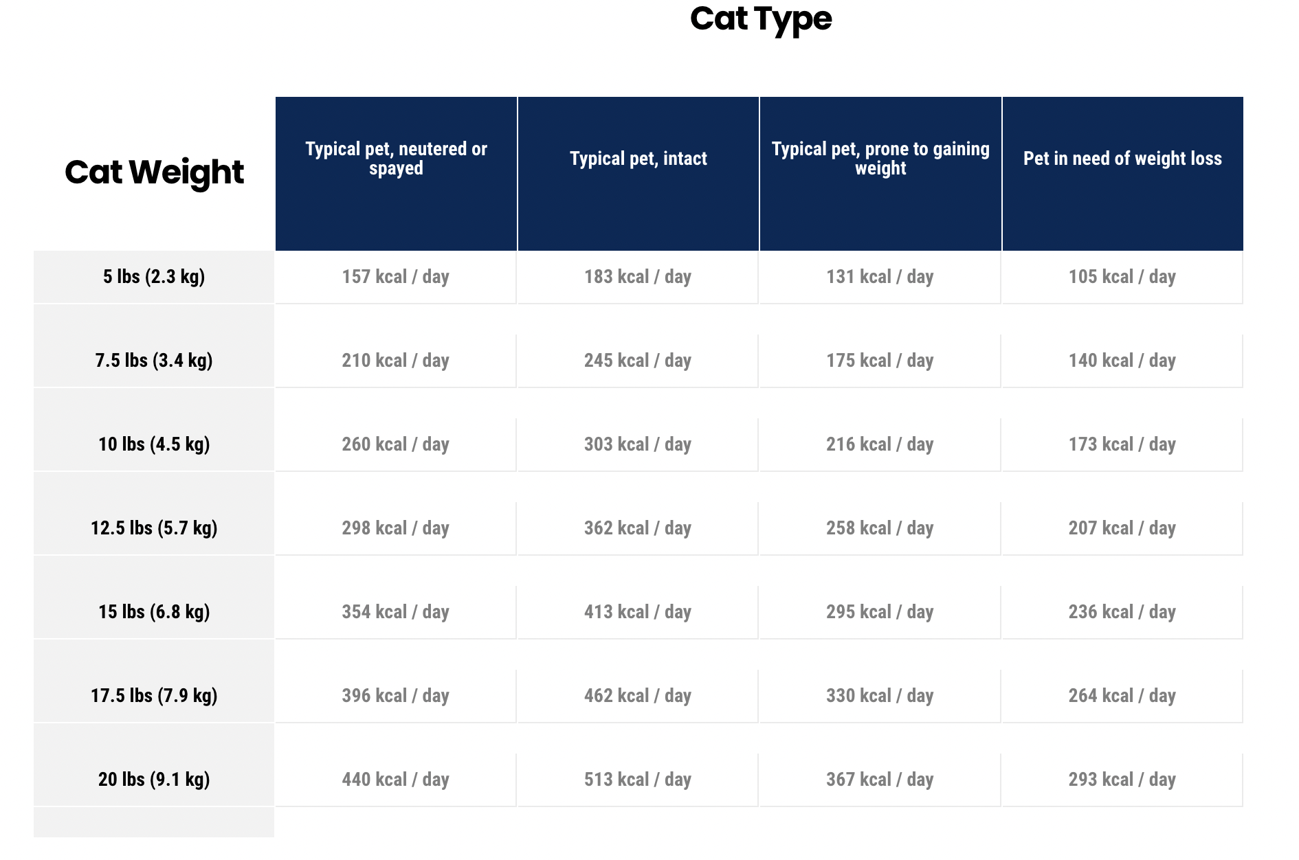 What & When Should You Feed Your Cat? (And How Much To Feed)