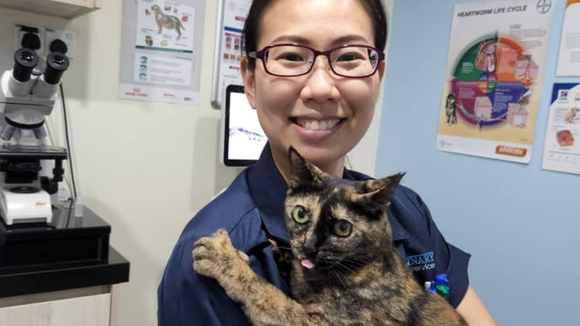 Oyen Interviews Dr Yee: A Decade Long Journey as a Veterinarian in Malaysia