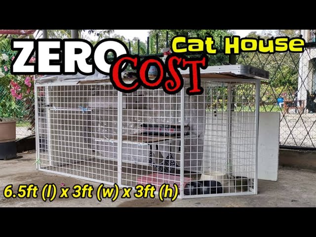 Rumah kucing: Tips dan segalanya yang anda perlu tahu