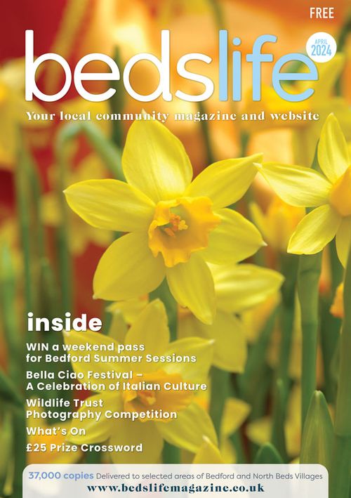 Bedslife magazine