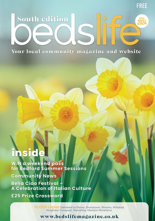 Bedslife magazine