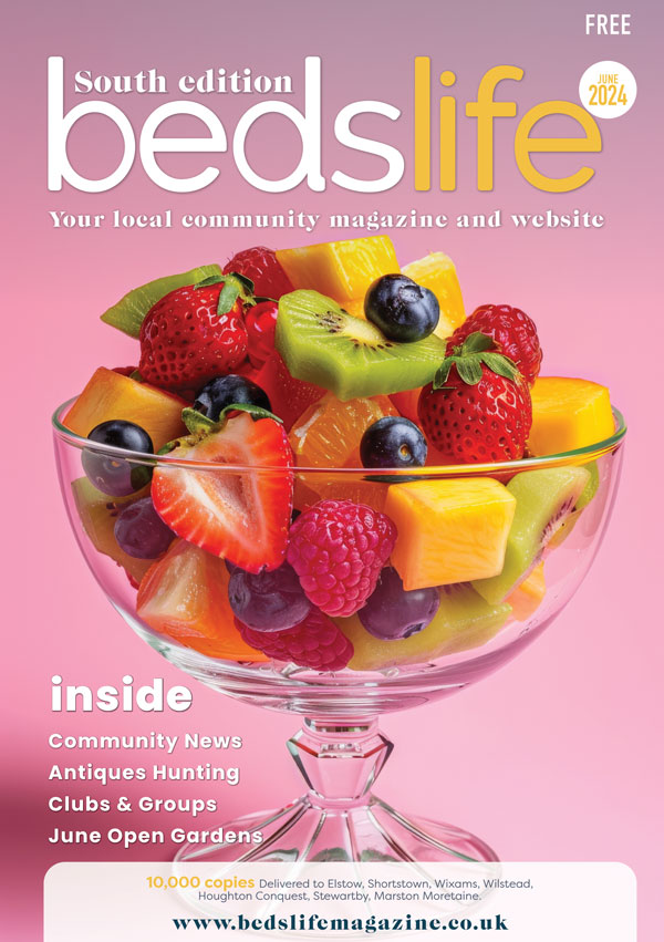 Bedslife magazine