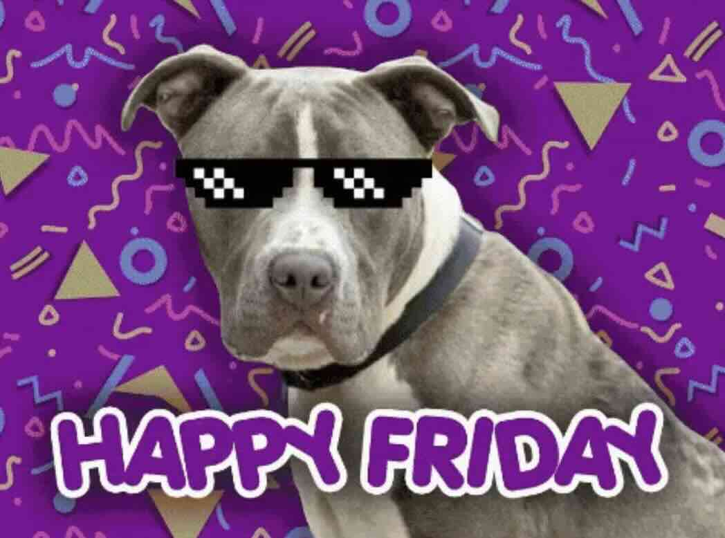 Friday Again - Business