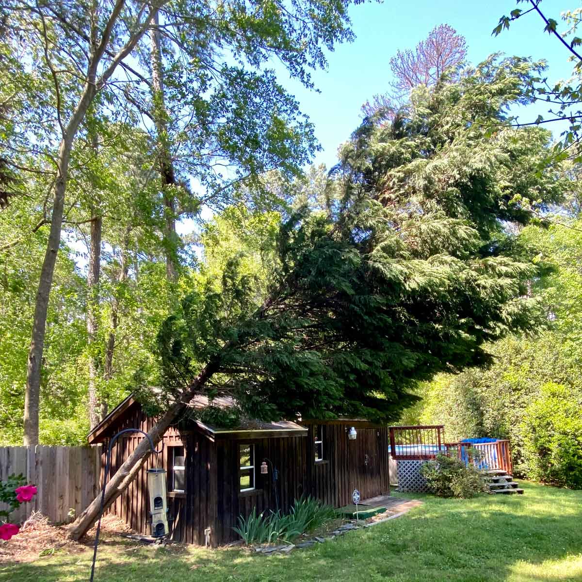 Hub City Tree Company – Spartanburg Tree Service