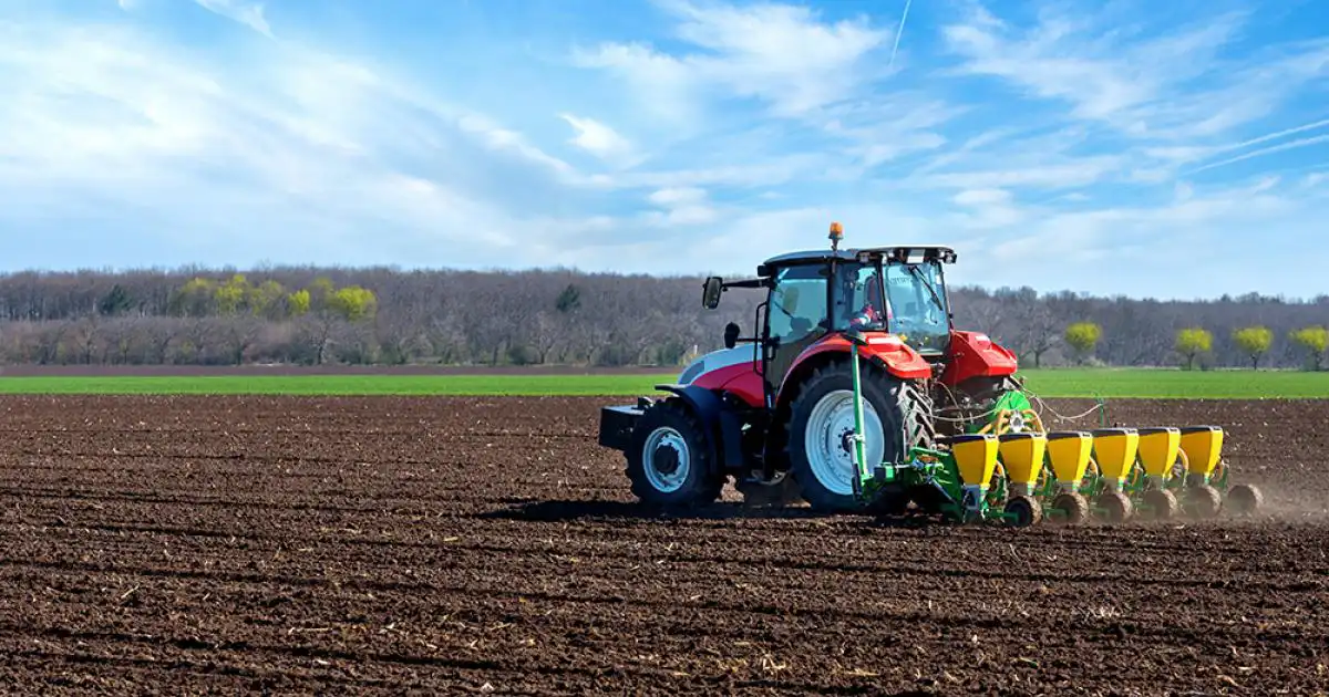 A Balanced Diet For Elderly People | Best10Scout.com