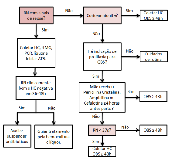 Sepse neonatal: o que é, causa, sintomas e tratamento