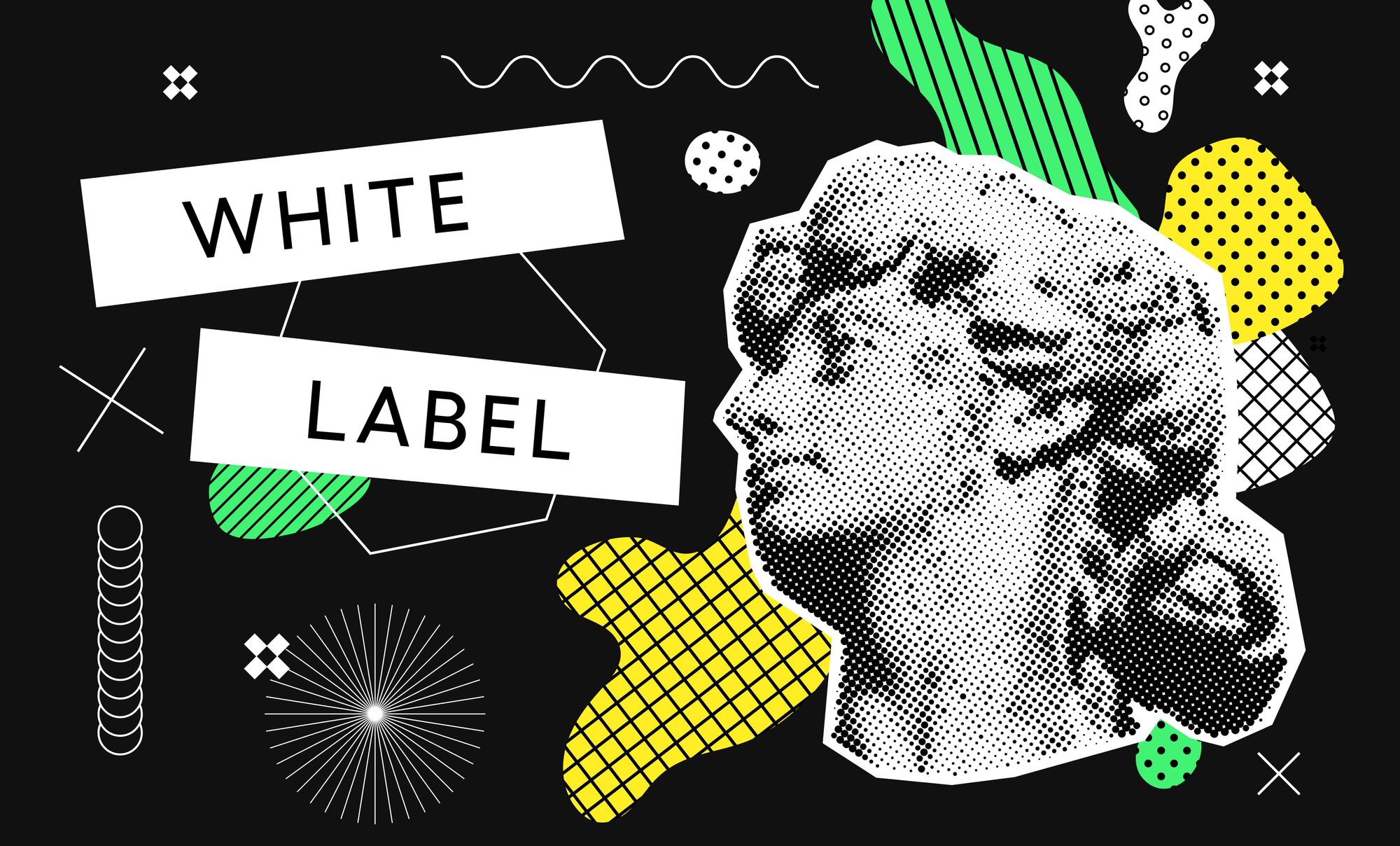 What is white label SaaS? Explanation with values and examples