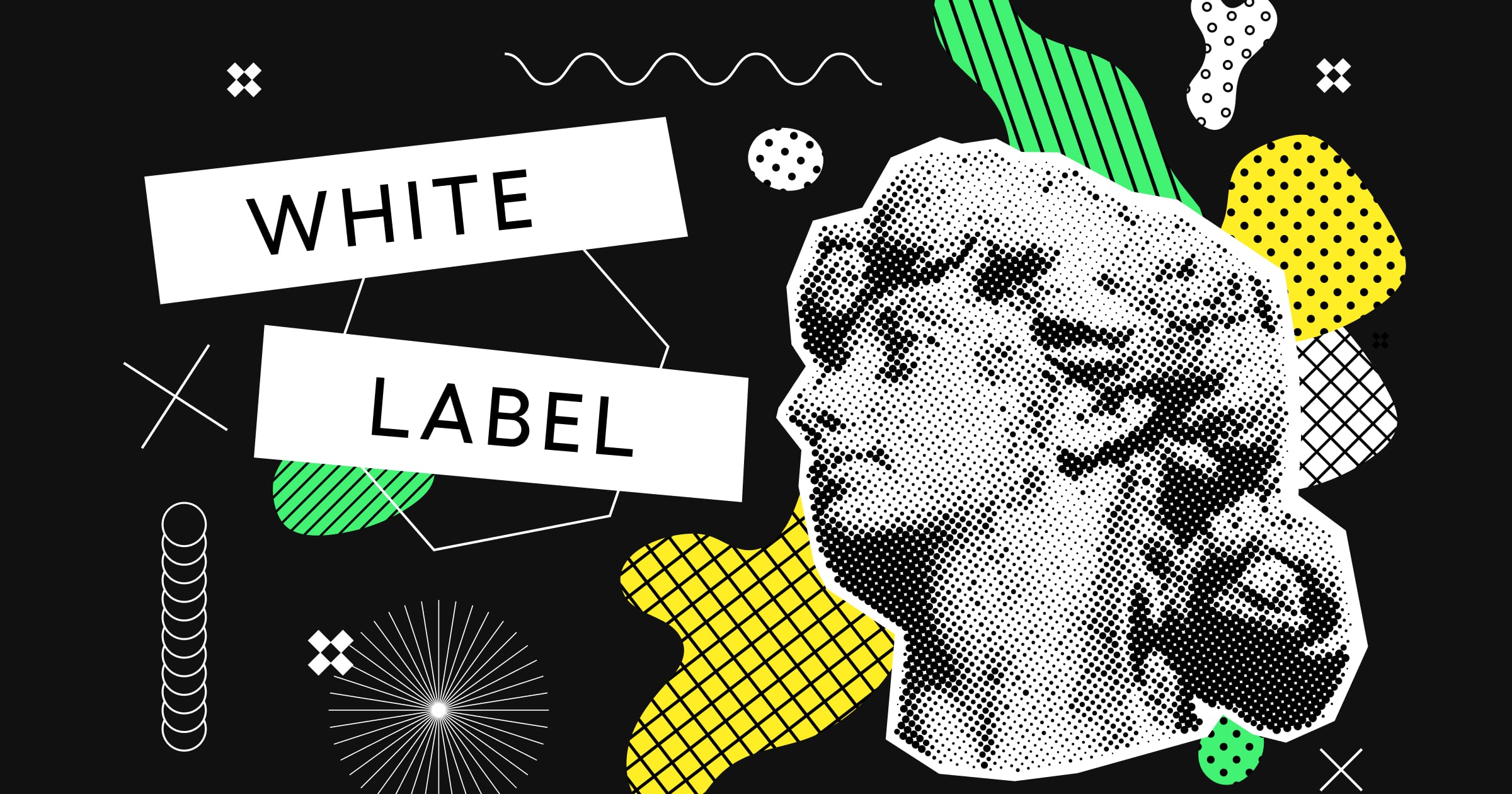 What is white label SaaS? Explanation with values and examples