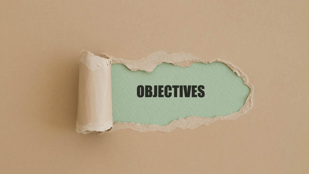 What are business objectives? Definition and examples