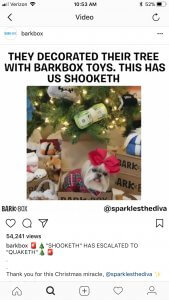 Marketing to Millennials with Meme Culture | RSD News