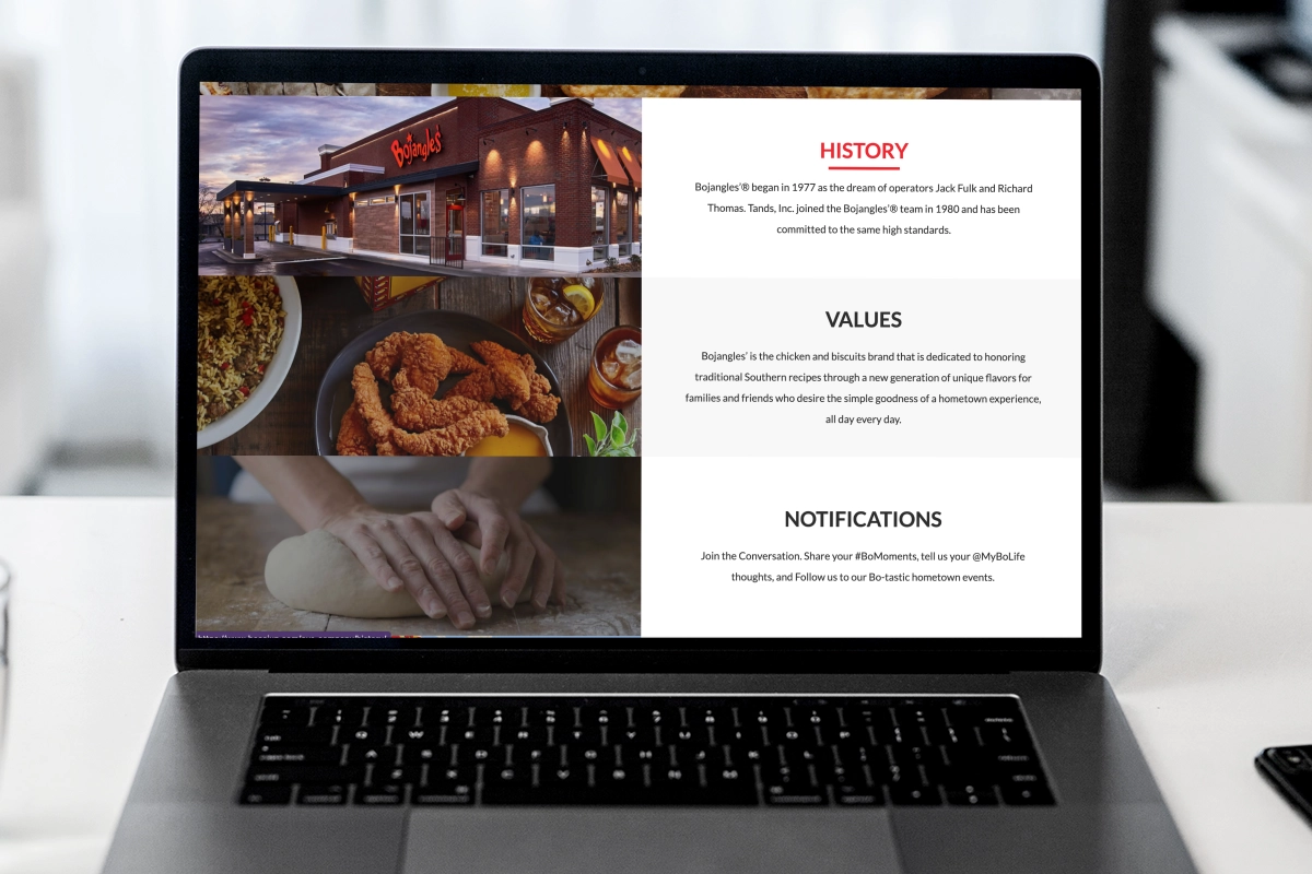 Red Shark Digital Marketing Case Study | Bojangles