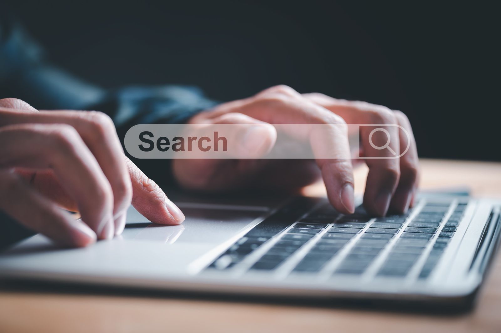 Red Shark Digital | Digital Marketing, Webflow SEO, Website Development