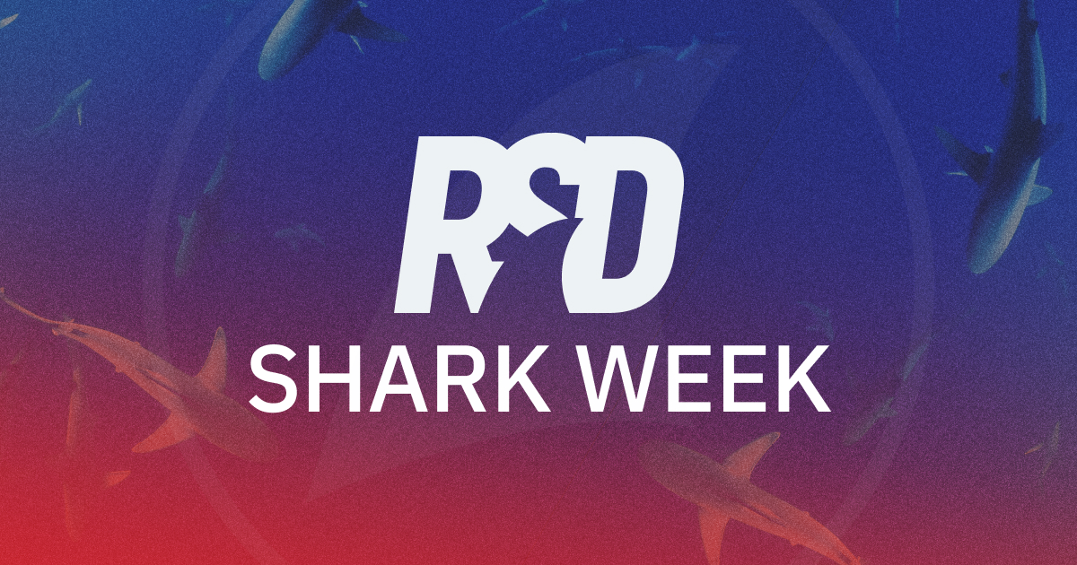 Introducing: Stephanie, Senior Content Creator | RSD News