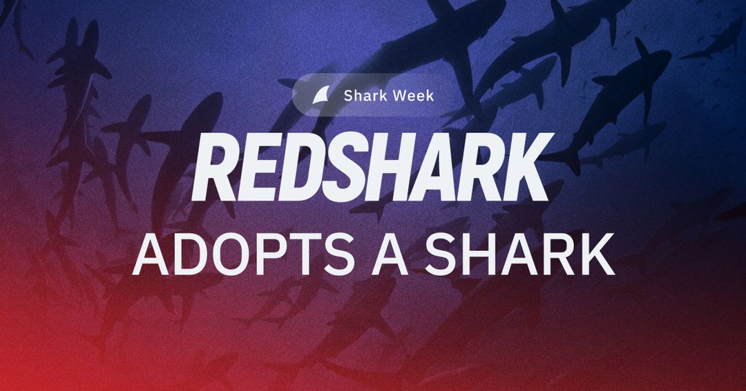 #1 Digital Marketing Agency in NC | Red Shark Digital