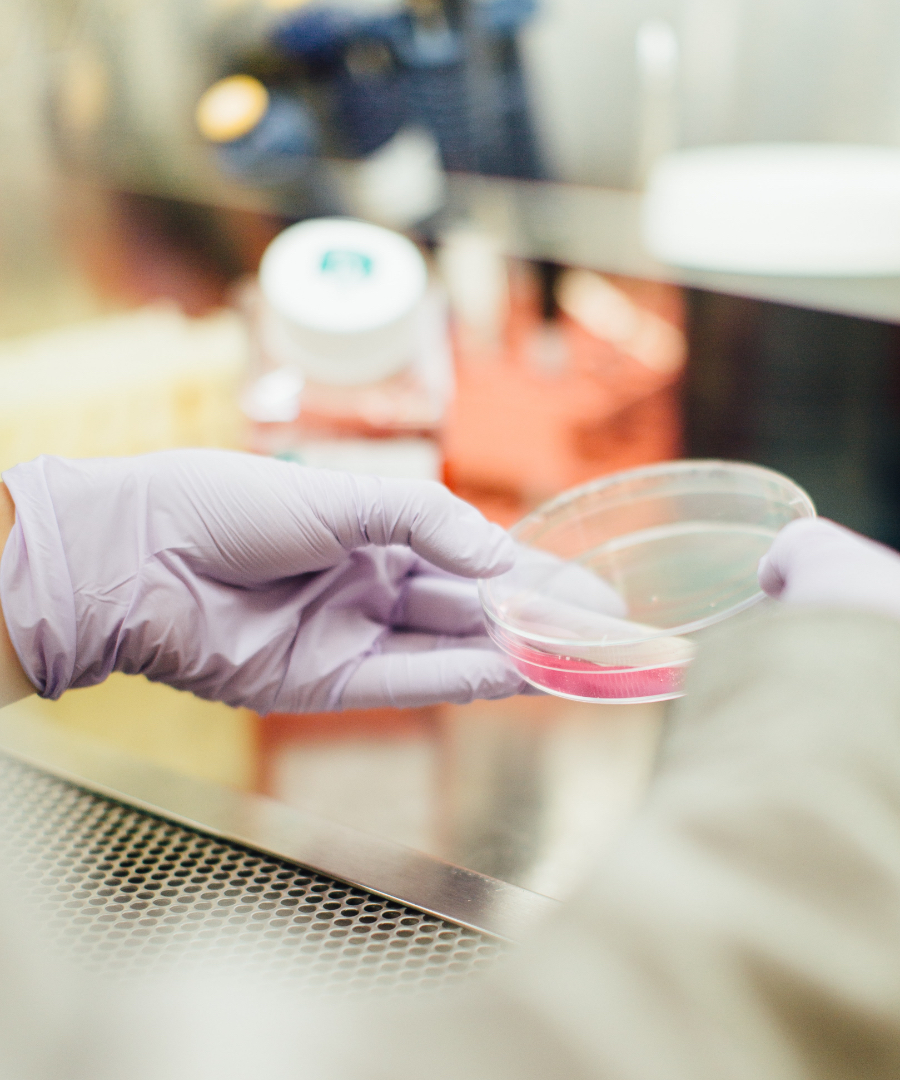 About Us | Custom Stem Cell Reprogramming