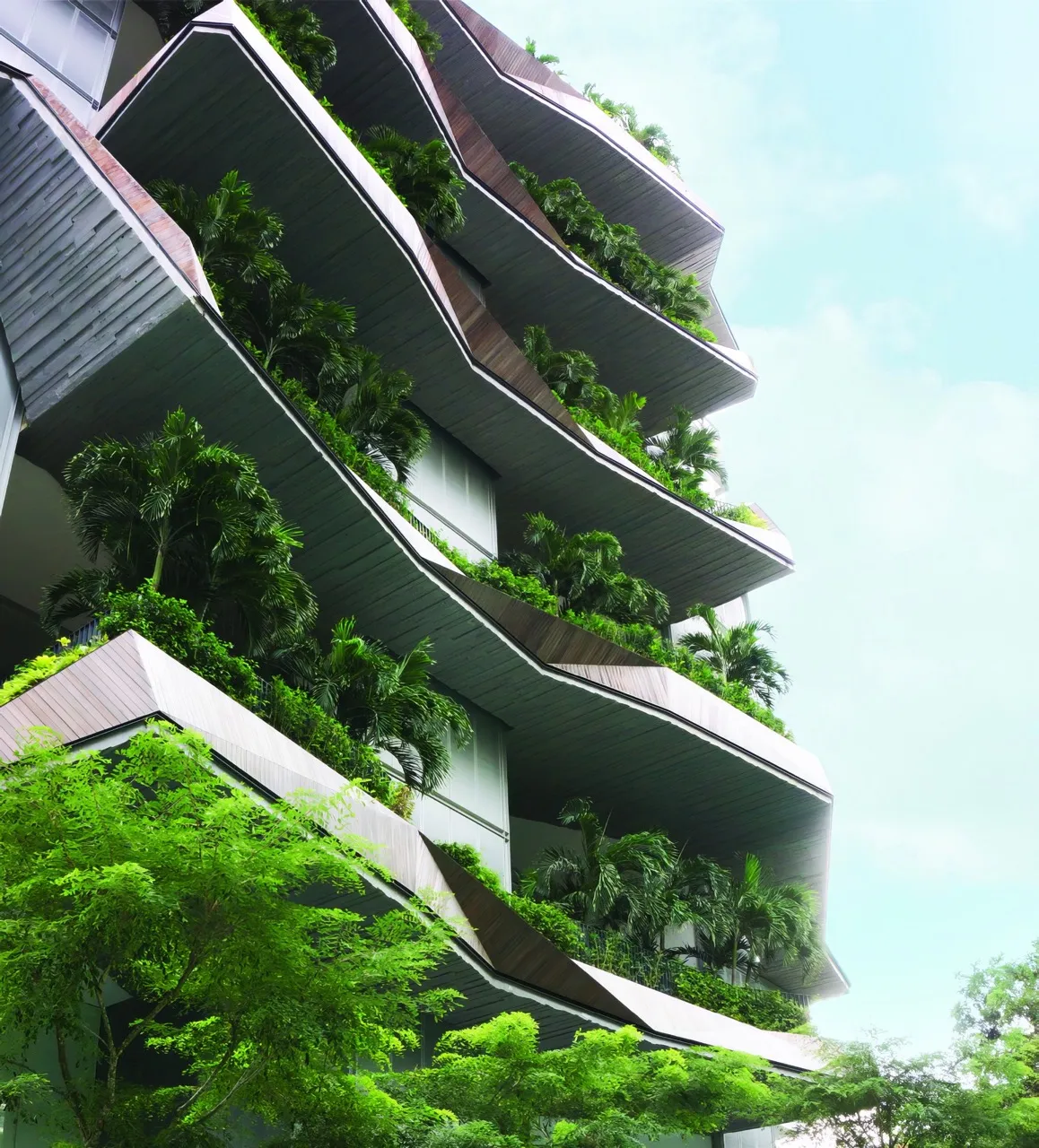 The Oliv @ Balmoral: New Launch Luxury Apartment For Sale