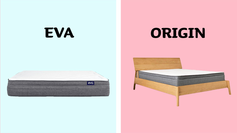 Eva vs Origin (2023)