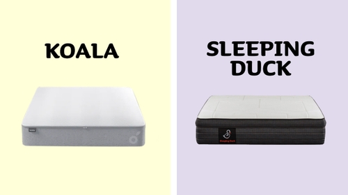 Koala (new) Vs Sleeping Duck | 2023 Comparison, Who wins?