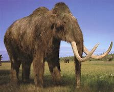 DO YOU WANT TO HELP BRING BACK DINOSAURS LIKE JURASSIC PARK?