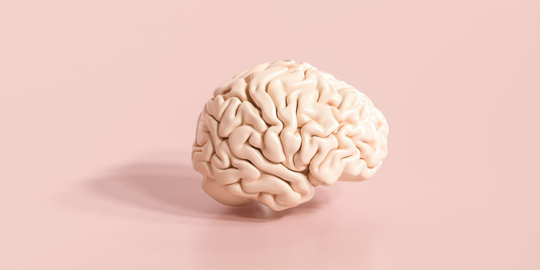 How menopause affects the brain • #1 Continuous Glucose Monitoring App ...