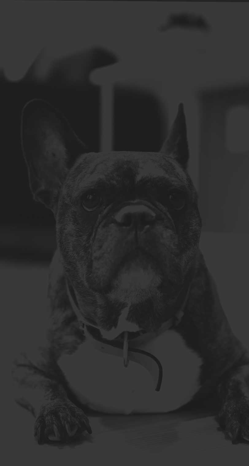 Dentist in Valrico, FL | Deliz Dental Studio