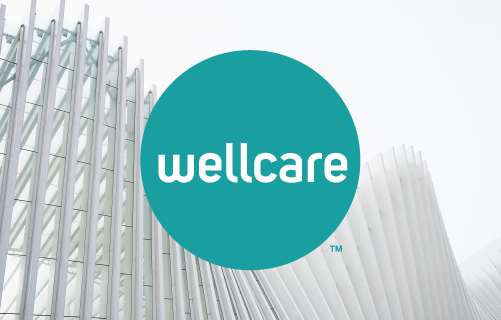Wellcare Product Pointers: Low-Income Subsidy Plans | CareValue Agent Blog