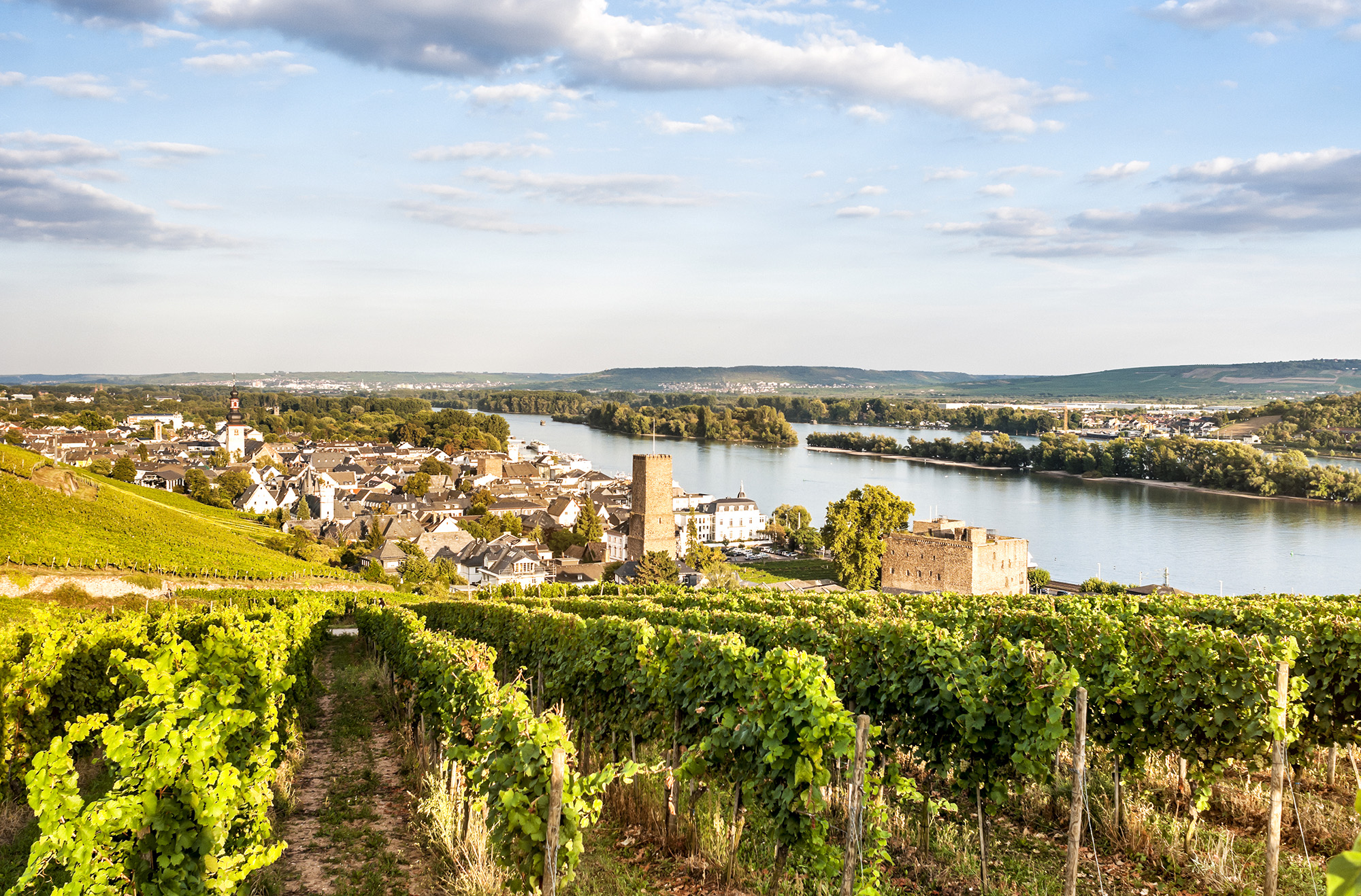 Rüdesheim | Fred. Holidays