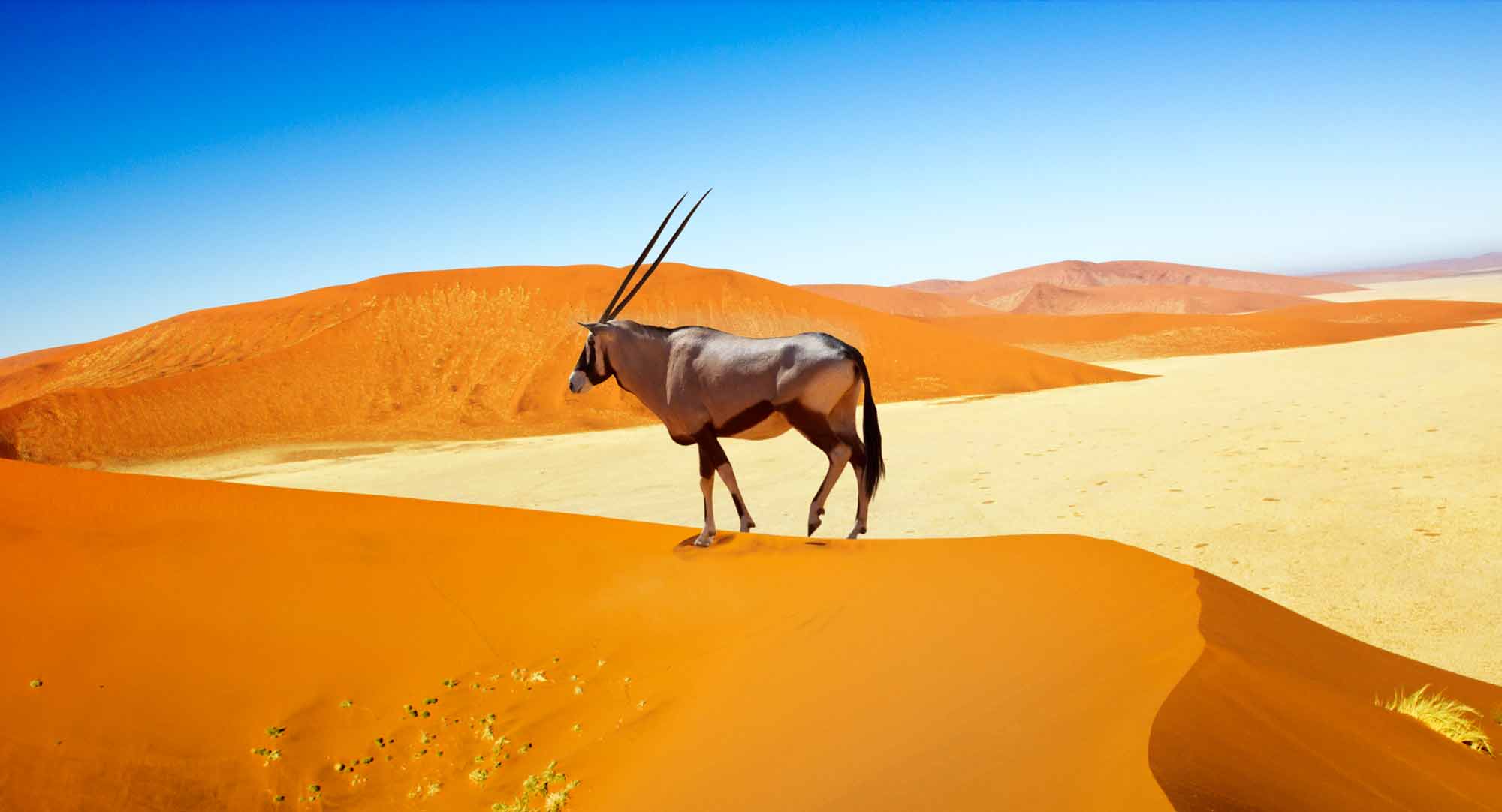 Namibia Safari | Fred.\ Holidays