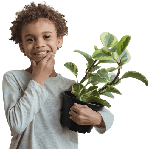 Parallel Learning | Comprehensive assessments & support services from ...