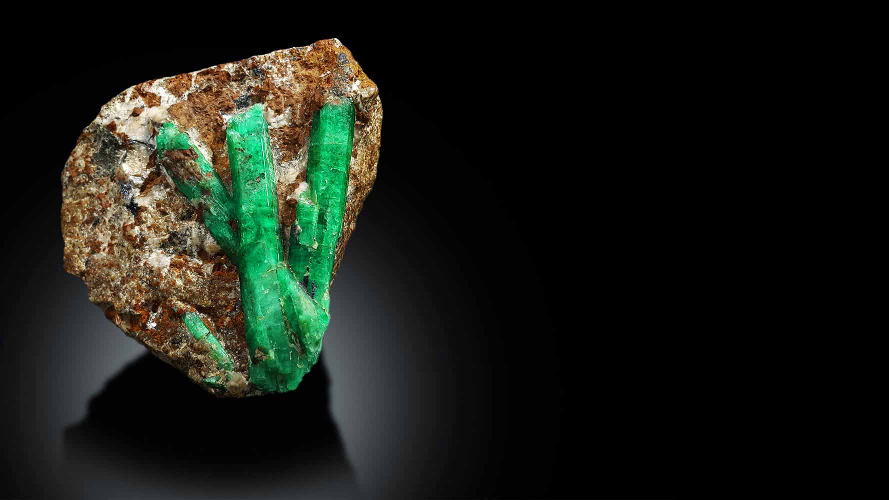 Wedding Rings | Torrini Jewelry