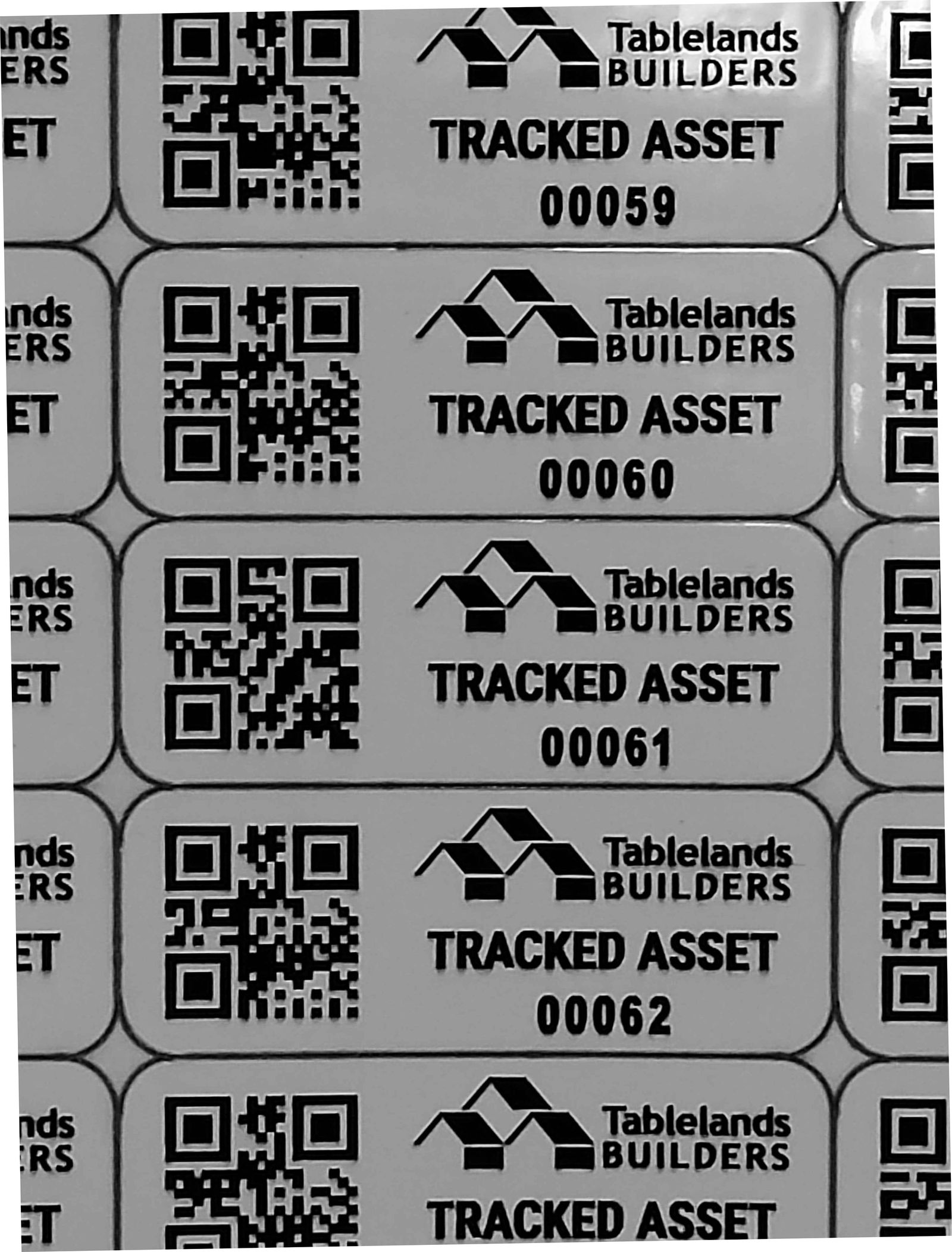 TESA Laser Labels