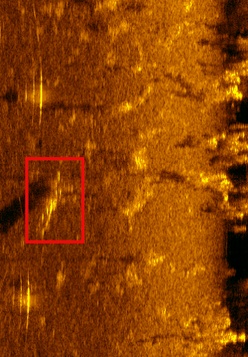 Real-time object detection for sonar data